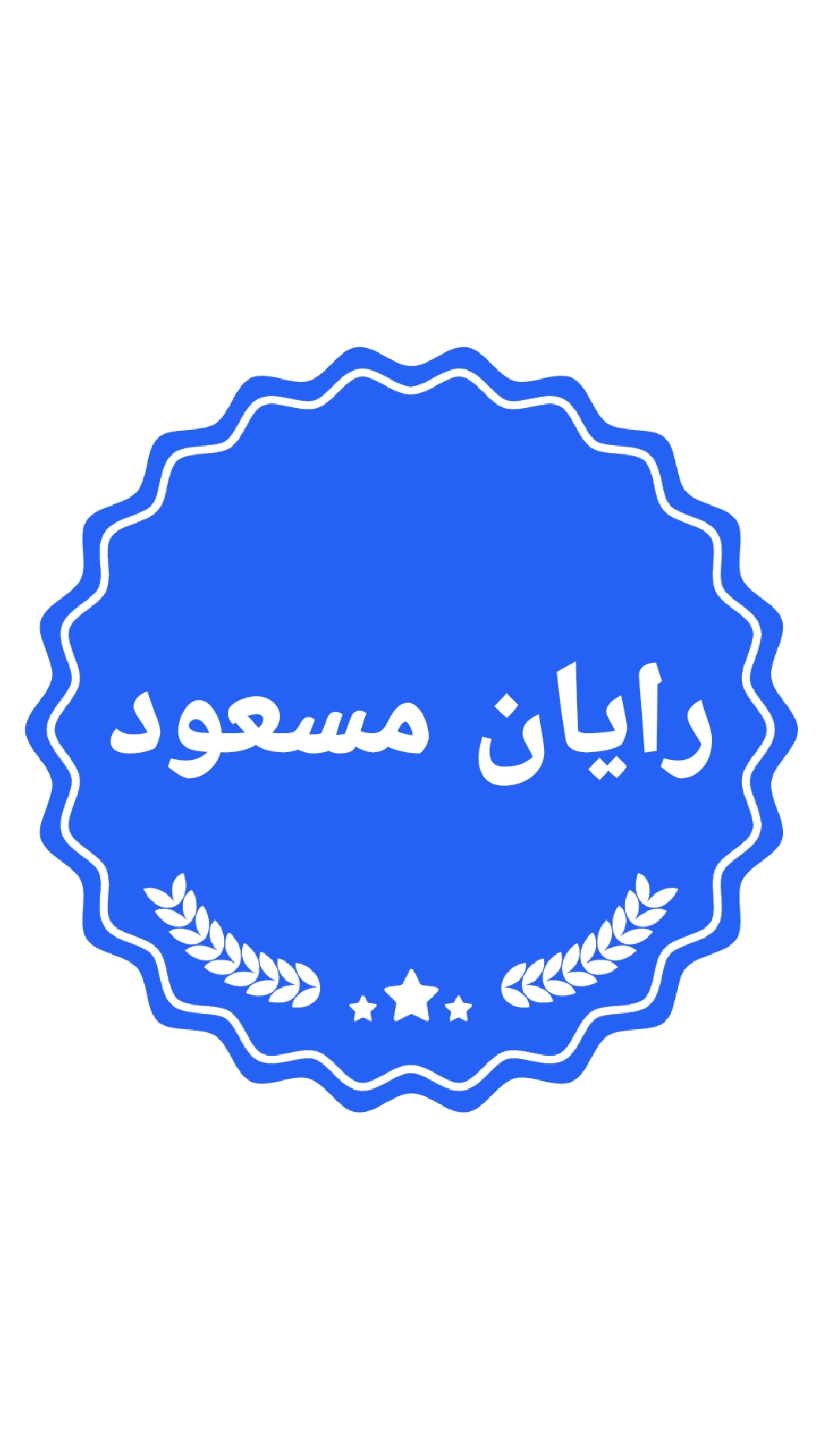 Rayan masoud رایان مسعود | فلش و رم